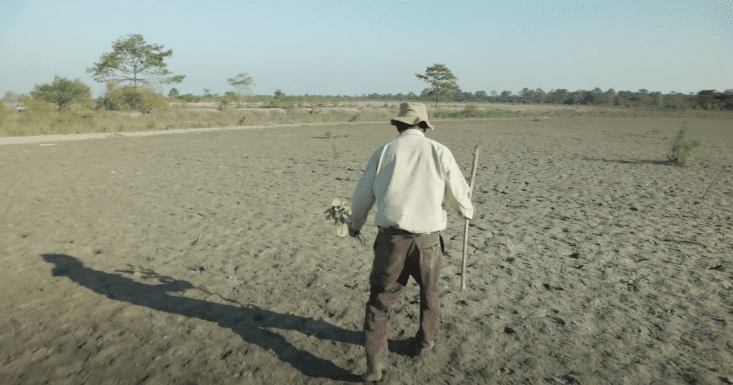 Weekend Watch: Forest Man - Misspent Summers