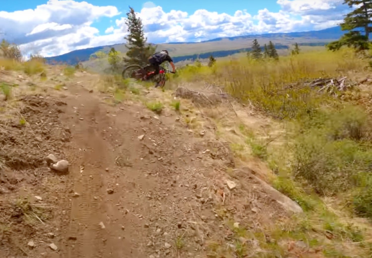 The Many Noises Of Mountain Bikers: B&M - Misspent Summers